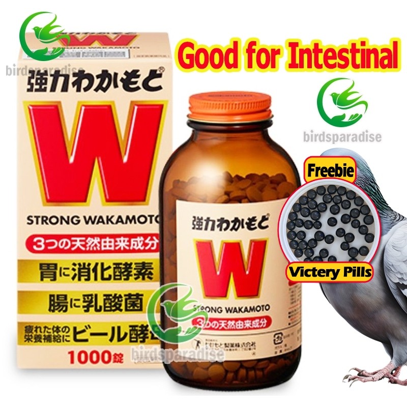 Strong wakamoto pigoen gastrointestinal remedy Medication for Pigeon ...