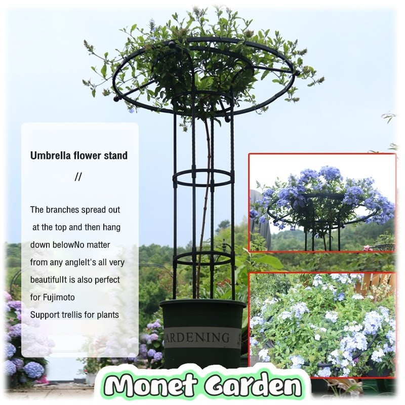 Horticultural assembly umbrella frame, climbing vine frame, climbing ...
