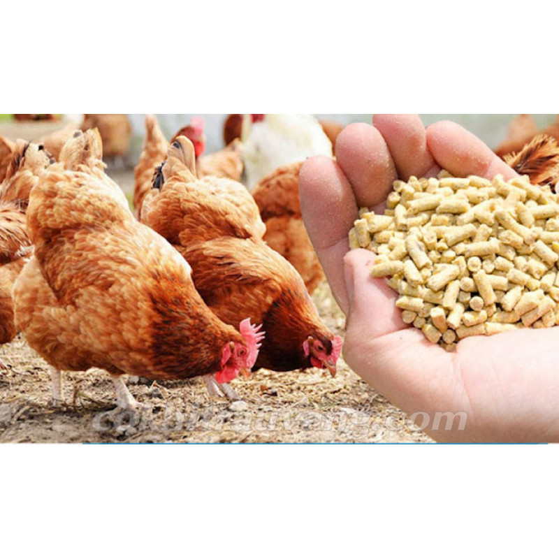 5kg C24 Stork Bran for Laying Chickens Ducks Laying Eggs Food for Goose ...