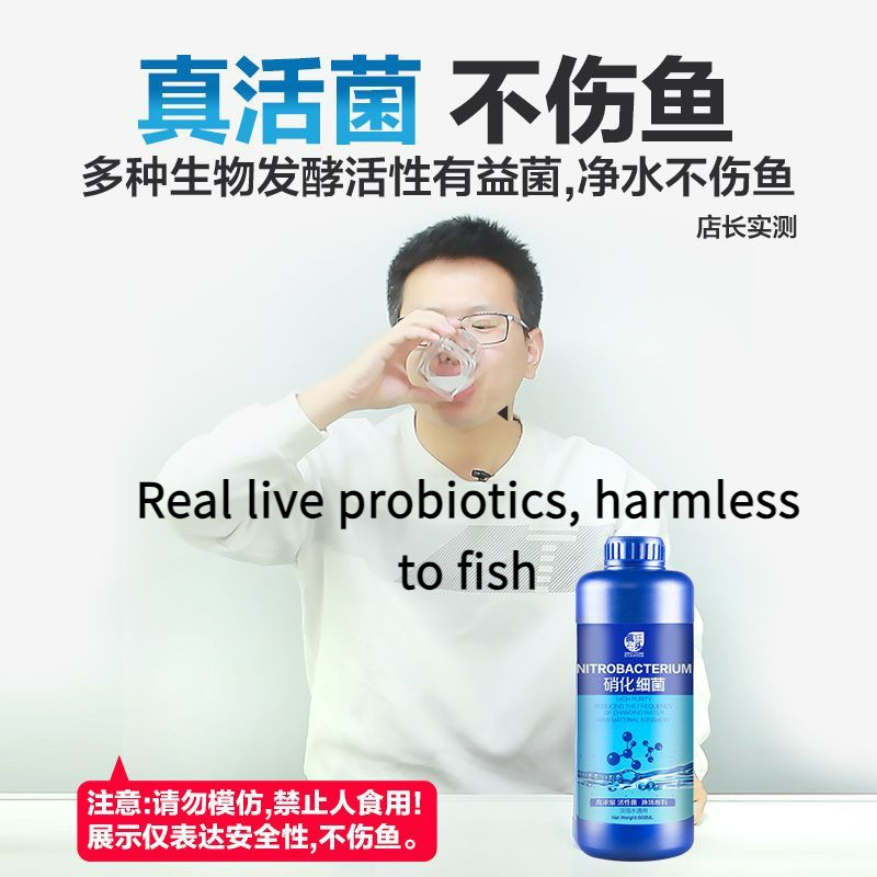 48 Hours Decomposing Fish Stool Purification Water Nitrifying Bacteria ...