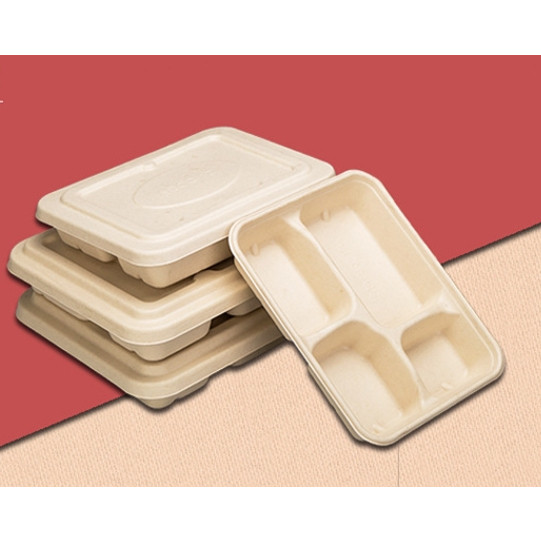 50pcs Sugarcane Pulp Bento Box Bagasse Food Container Biodegradable ...