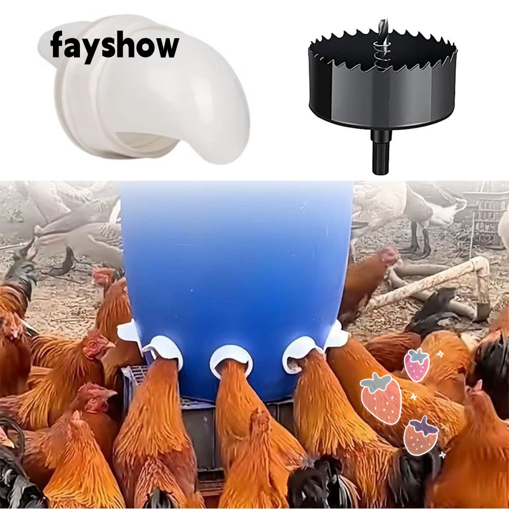 FAY Chicken Feeder, Durable Automatic Duck Feeder, Easy to Use DIY Rain ...