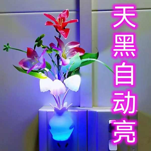 Energy-saving night plug-in light control induction darkness ...