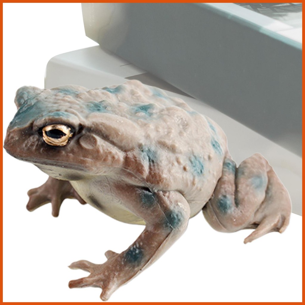 Toad Toy Figurine Realistic Toy Frogs for Kids Frog Figurines Cute Frog ...