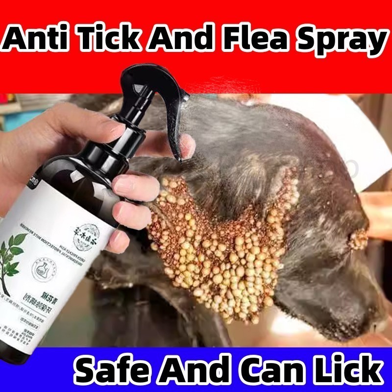 Anti Flea And Tick For Dog Spray Anti Garapata For Dog Flea And Tick ...