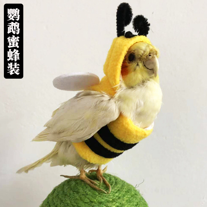 Wild Cat Pet Bird Clothes Parrot Costume Autumn Winter Warm Cute Funny ...