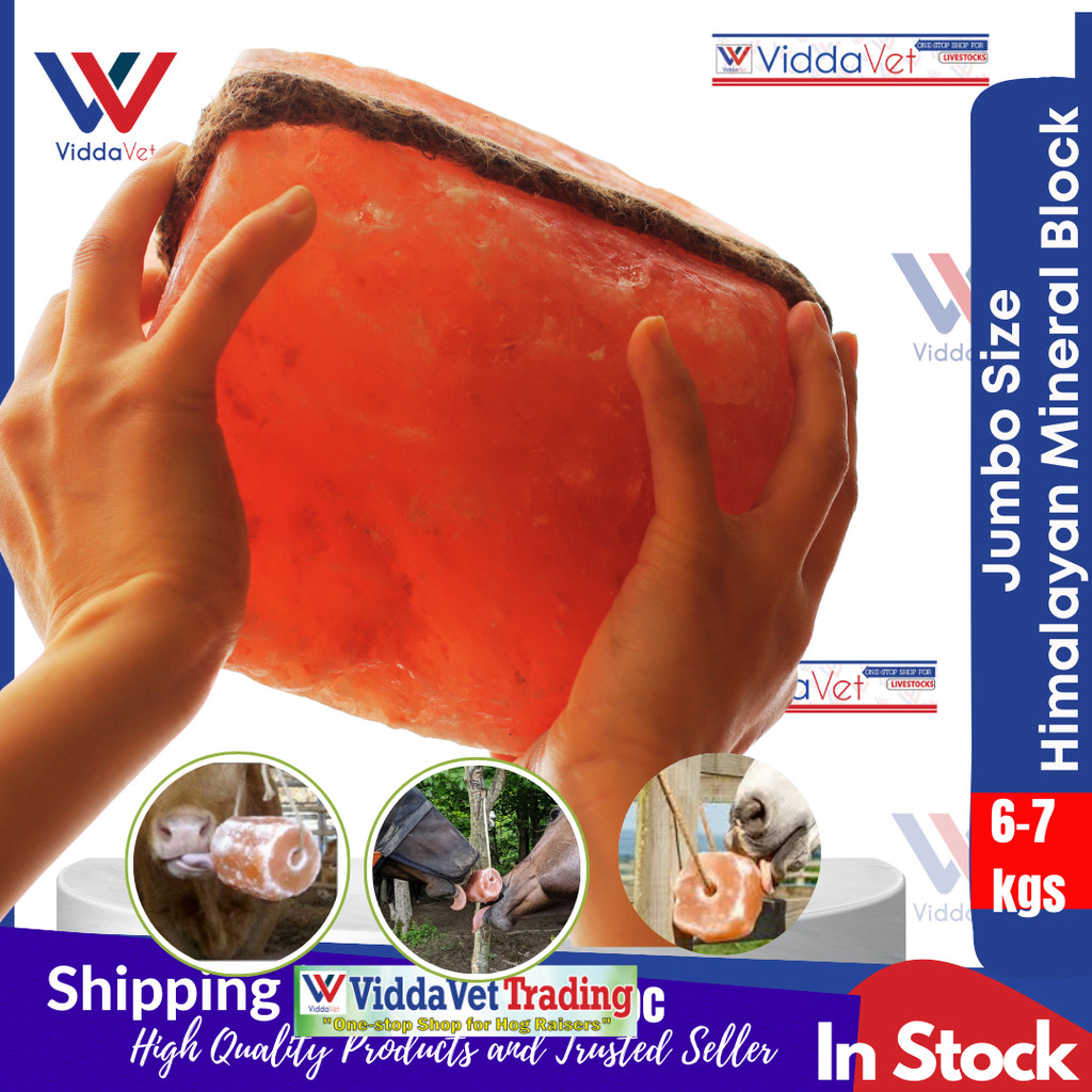 Mineral blocks for goat Himalayan salt blocks Compressed Mineral Feed ...