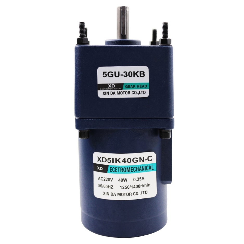 NEW 40W Induction AC Electro motor 220V Fixed speed CW CCW Gear Reducer ...