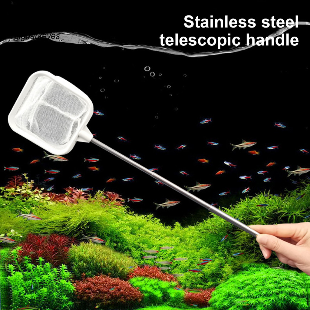 Fish Tank Net Accurate Fish Catching Tool Telescopic Stainless Steel ...
