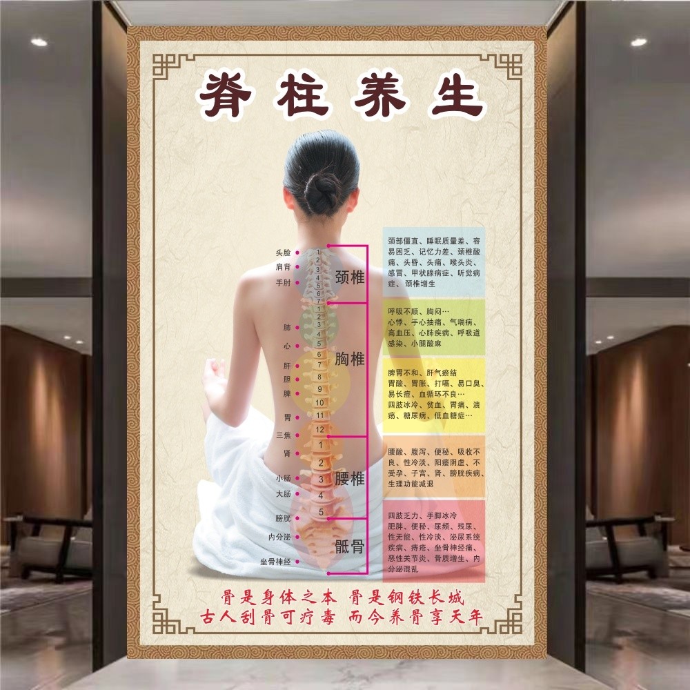 Direct Mail ️ Spine Health Wall Chart Traditional Chinese Medicine ...