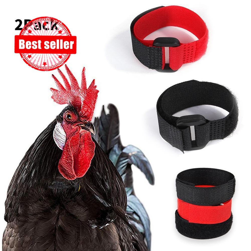 No Crow Rooster Collar Chicken Collar Noise Free Anti-hook Prevent ...