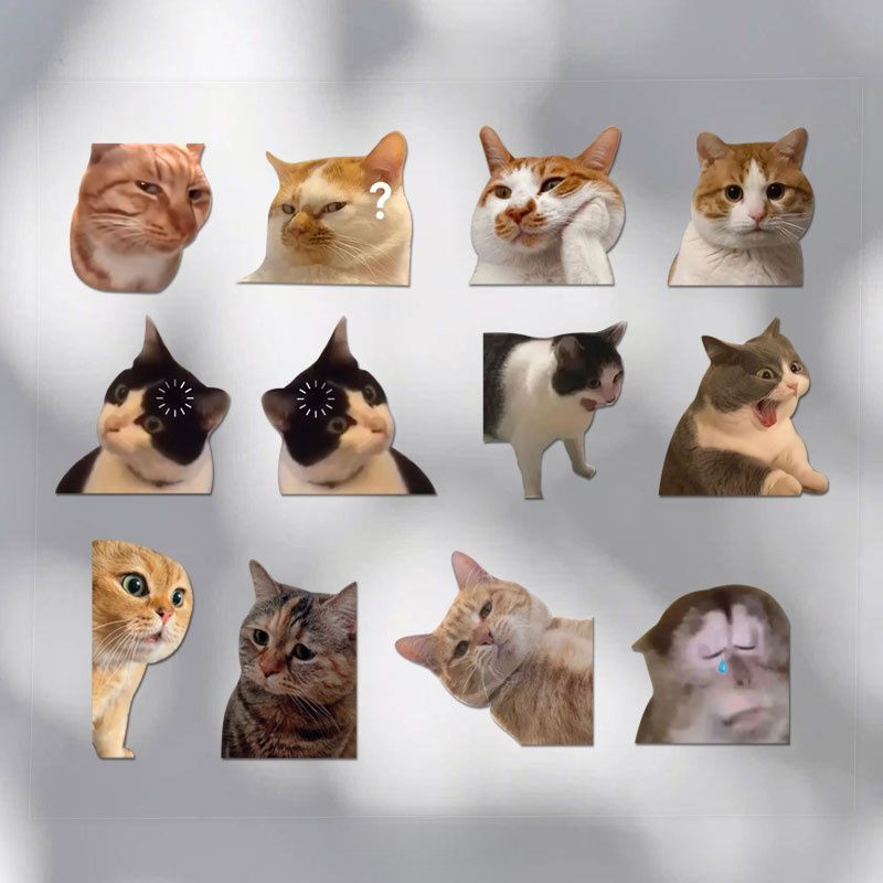 Cute Funny Memes MEME Cat Cat Surprise Expression Monkey Pet Car ...