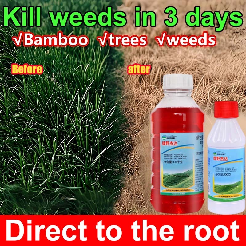 【100% Effective】Glyphosate Weed Killer Fast Herbicide for Grass & All ...