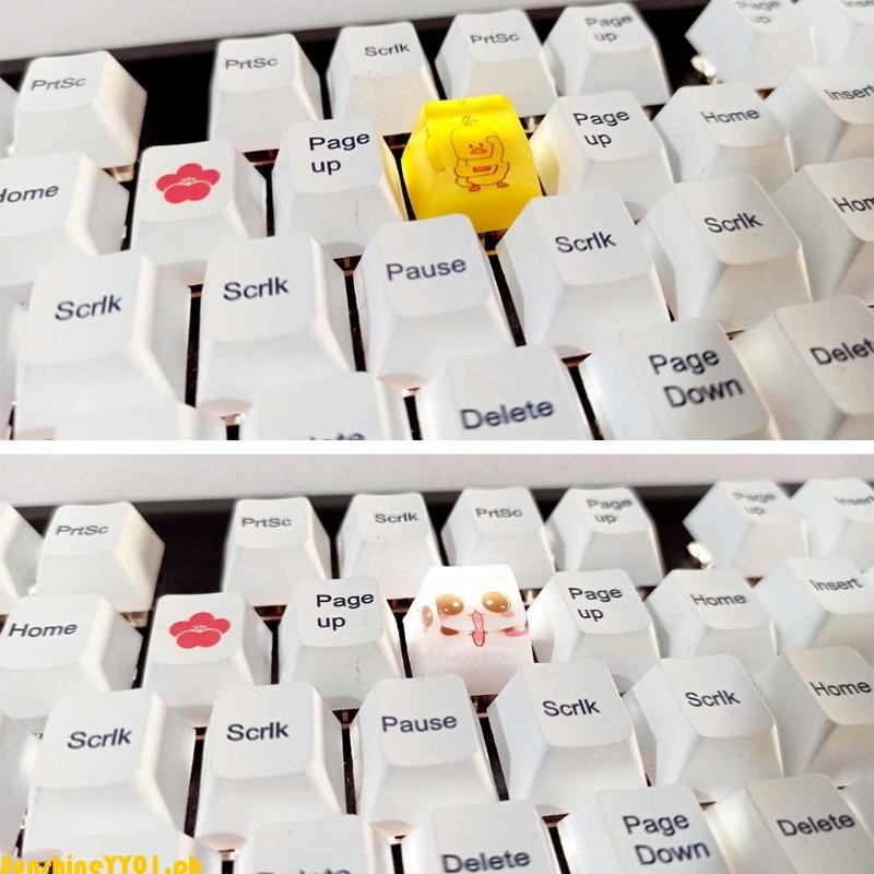 SUN Mechanical Keyboard for Key Caps 1 for Key Resin Cherry Profile R4 ...