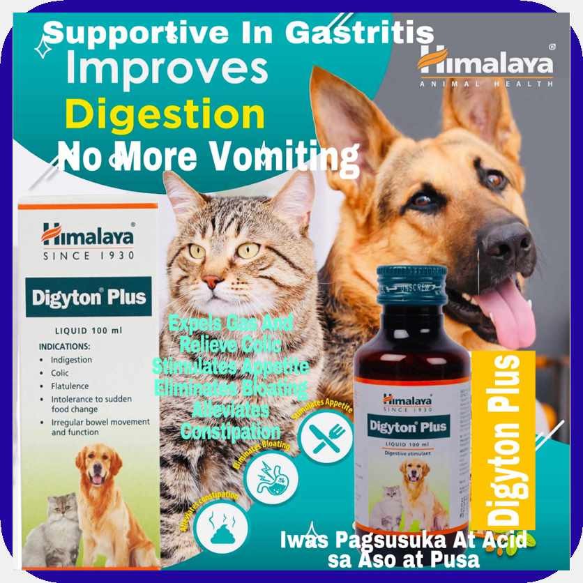 Himalaya~RW#Digyton;xd&Plus&Q:Digestive%E:Stimulant%o:For%b:Dogs%r:And ...