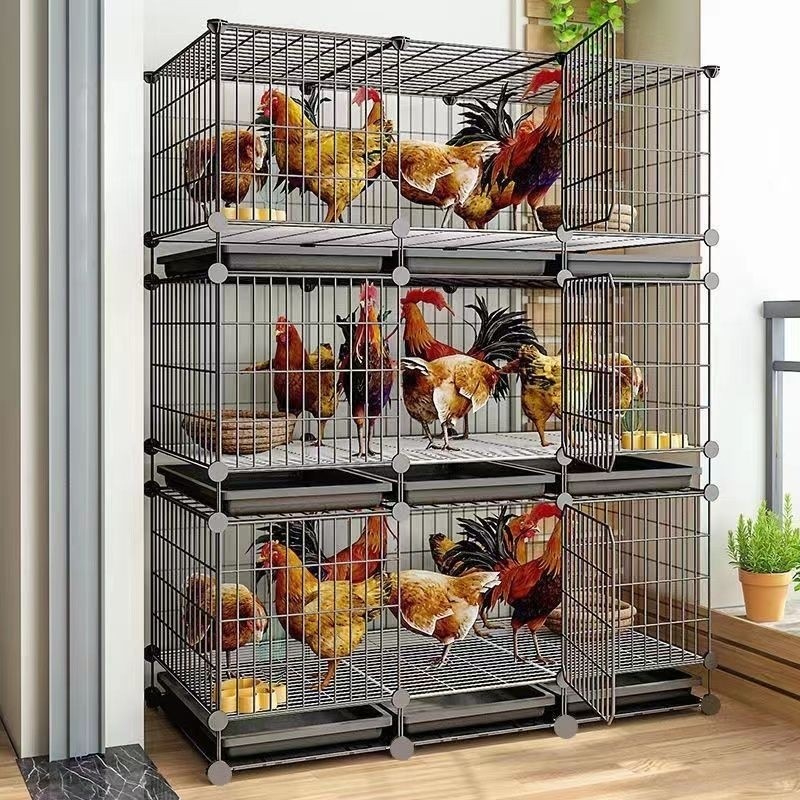 Chicken Cage for Home Use, Breeding Iron Cage, Large Chicken and Duck ...