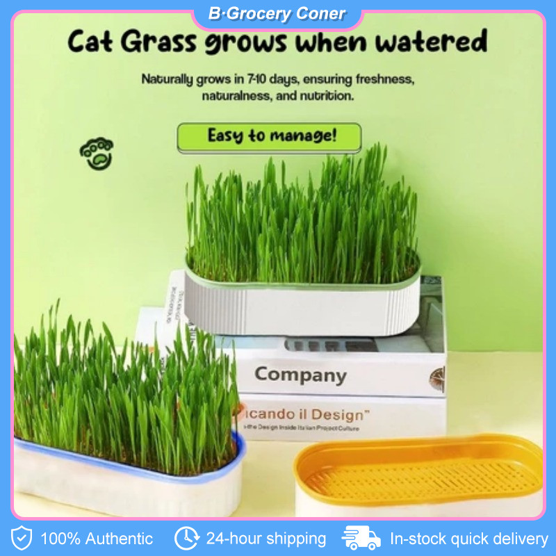 Cat Grass Cultivation Box Soilless Hydroponic Planting Organic Pet Cat ...