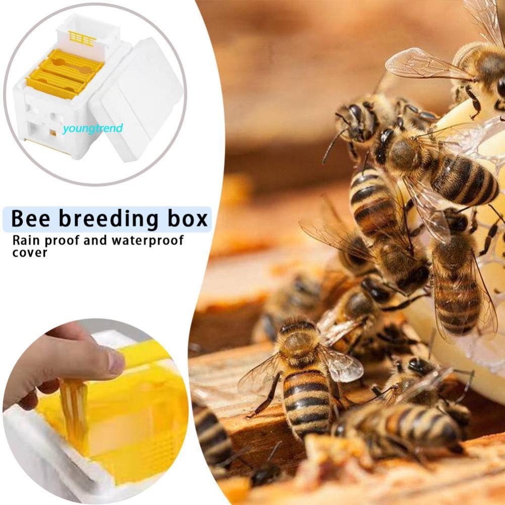 Beehive Pollination King Bees Hive Box Beekeeping Case Beekeeper ...