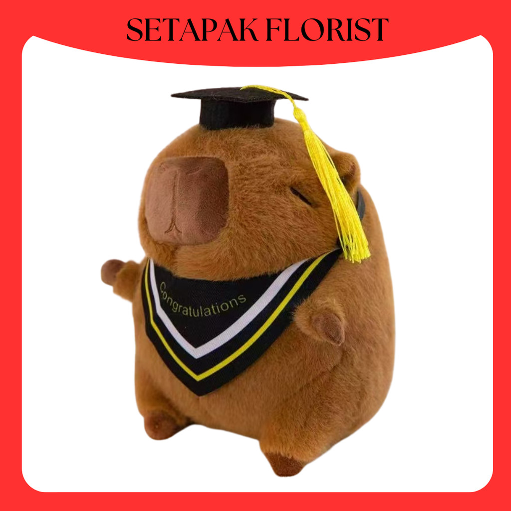 22CM CAPYBARA GRADUATION BEAR Plush Toy Cute Capibara Plushie Toy Anak ...