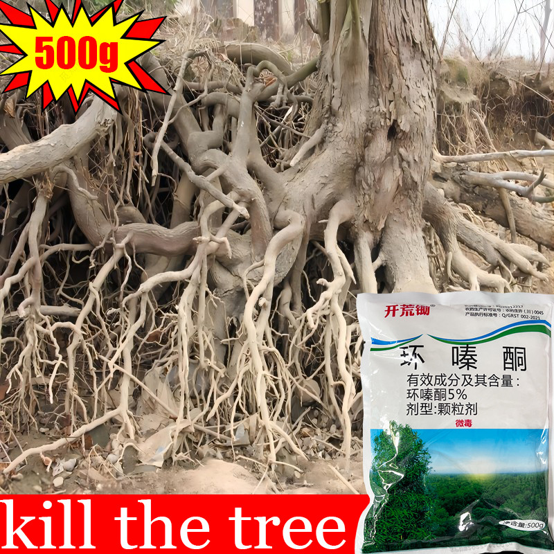 ☣Effective weed control Removing big trees and bamboo☣ Racun rumpai ...