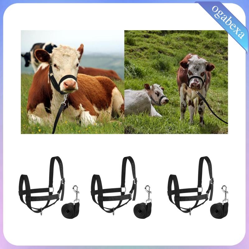 [Ogabexa] Bull Bridle Bull Head Harness Supply Nylon Cow Halter for ...