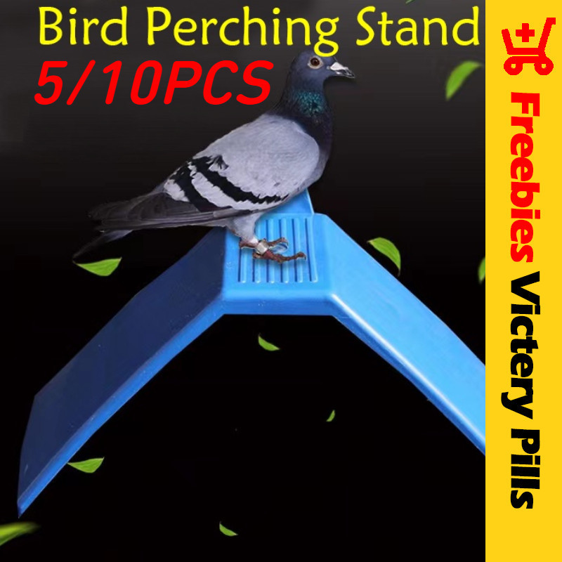 10/5Pcs Dove Rest Stand Pigeons Perche Durable Plastic Pigeon Perches ...