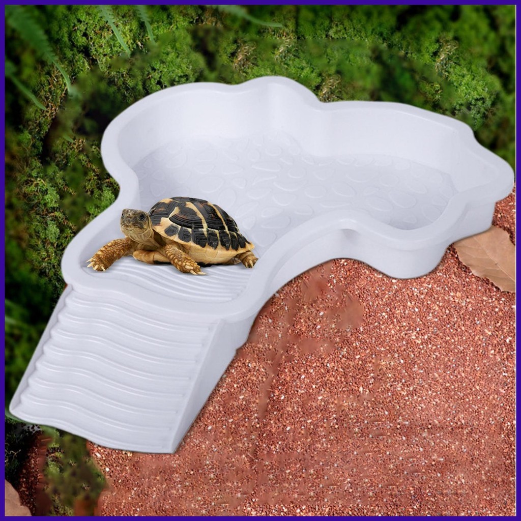 Reptile Bathing Pool Turtle Soaking Tub with Ladder Turtle Pool ...
