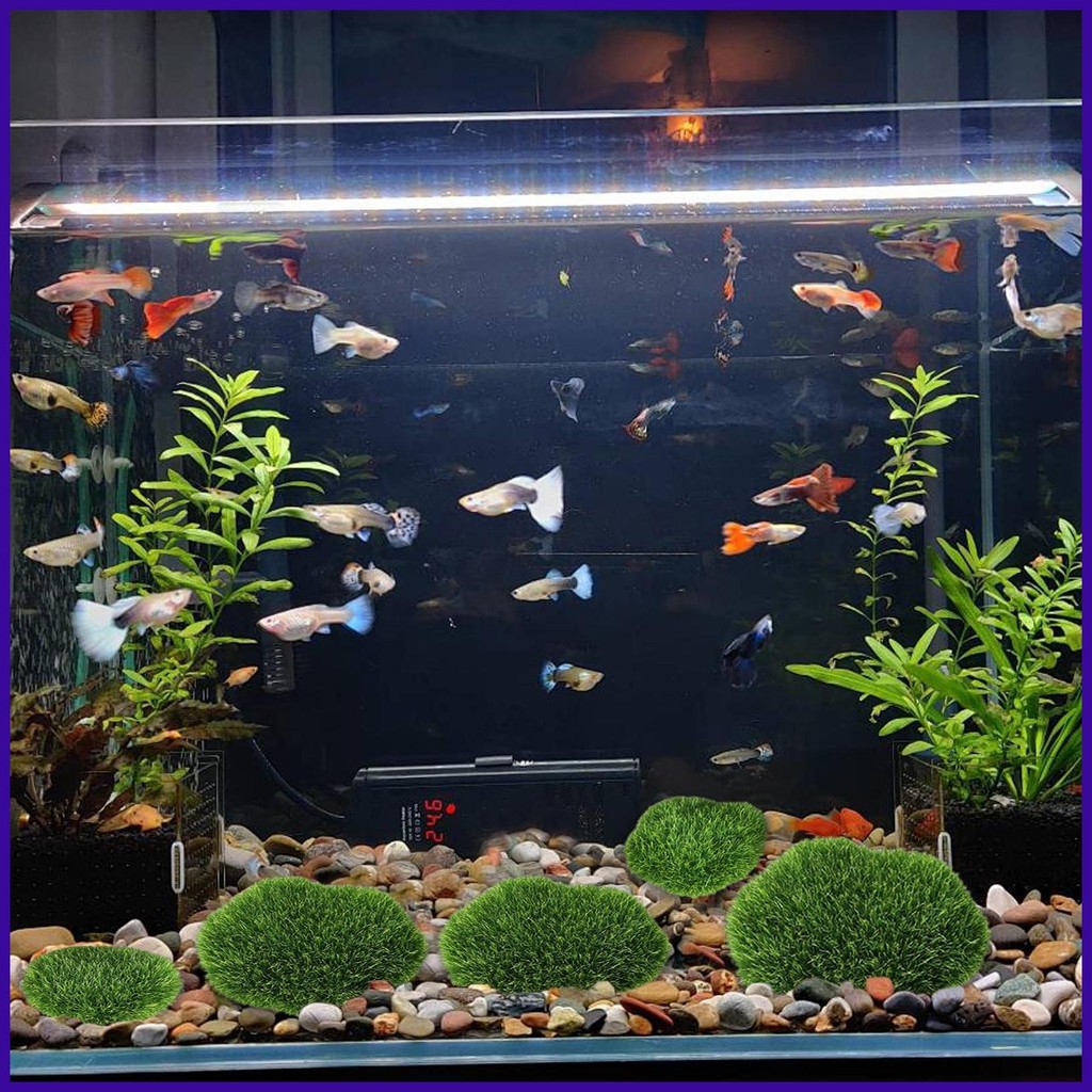 Moss Pebbles Balls 5X Artificial Shrimp Tank Tabletop Decoration ...