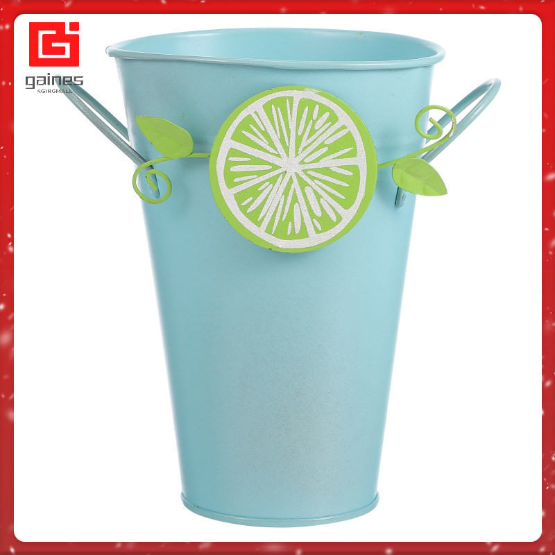 Indoor Plant Room Ornament Tin Bucket Decorative Vase Flower Stand Iron ...