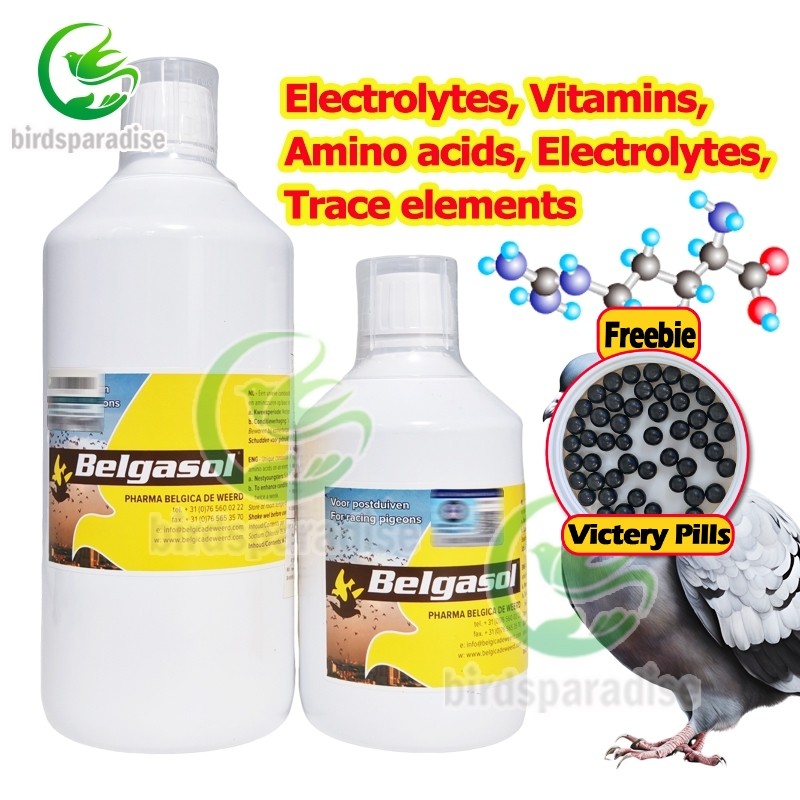 BELGASOL PHARMA Belgica De Weerd Supplement for Pigeons, Pigeon Racing ...