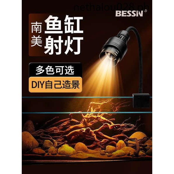 Bessn South American Spotlight Zoom Native Stream Fish Tank Landscaping ...