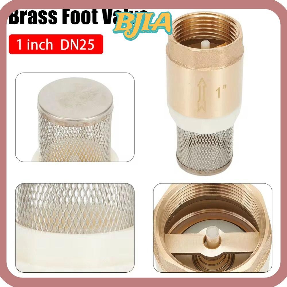 BJA 1Pcs Brass Foot Valve, Stainless Steel Suction Basket DN25 1 Inch ...