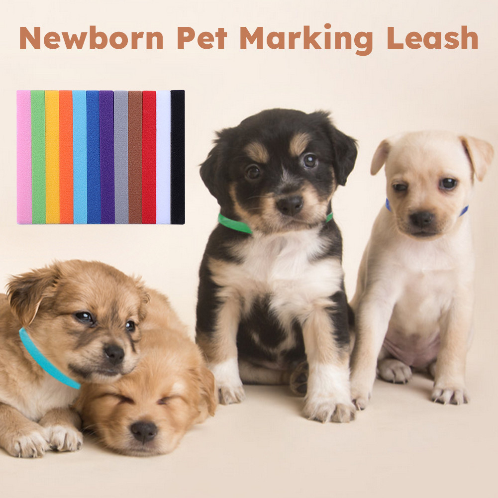 Puppy ID Collars Whelping Dog Band Newborn Soft Fabric Adjustable Dog ...