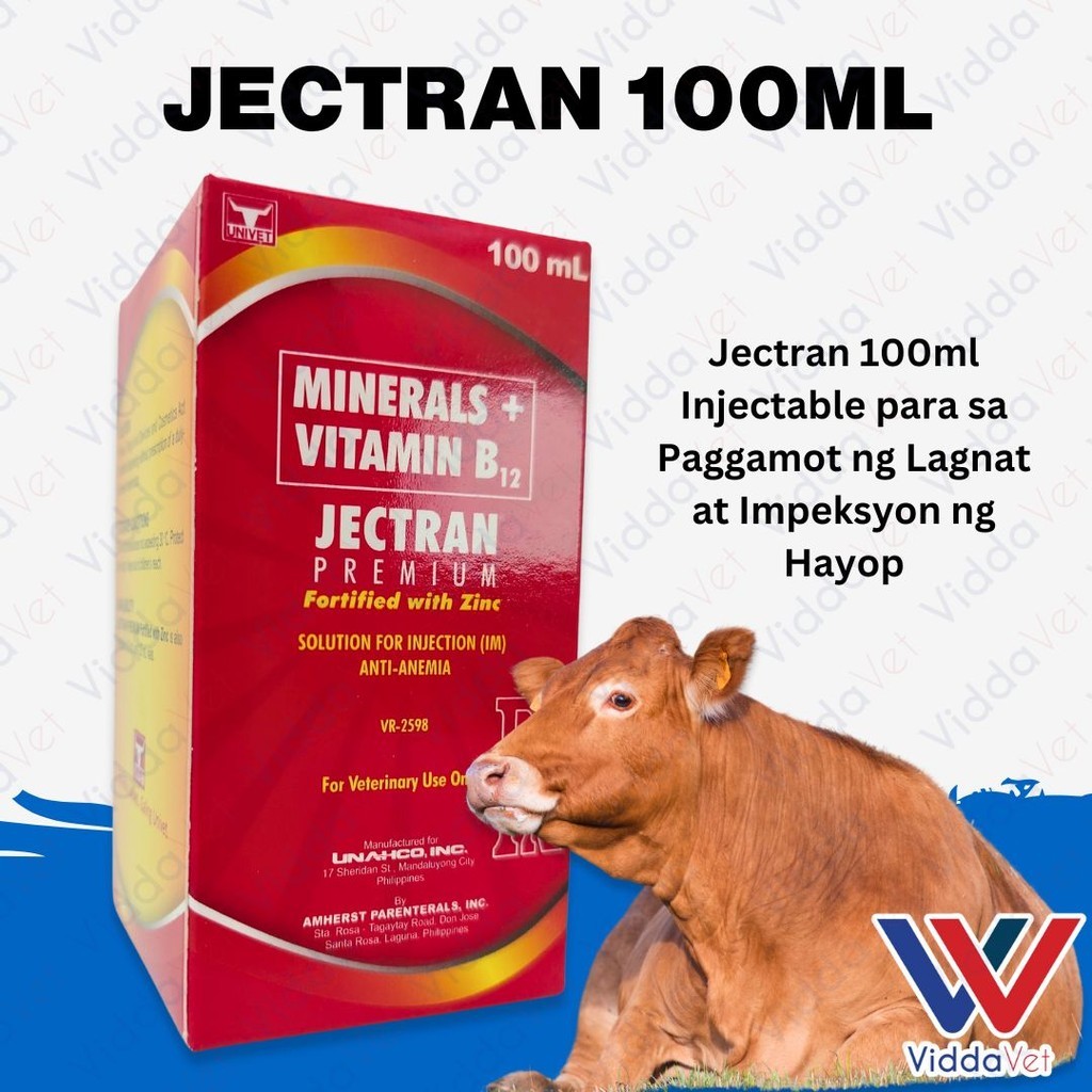 Viddavet Iron Jectran 100ml For Healthier Pets and Livestock Iron ...
