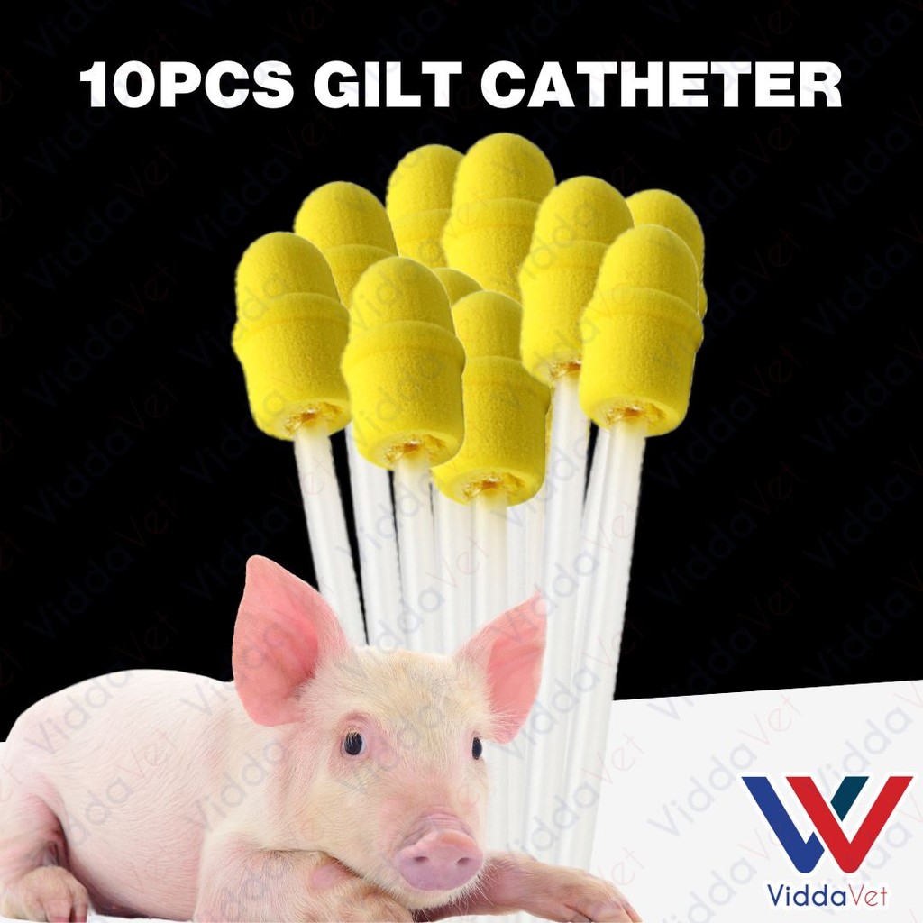 Gentle on Animals, Quick and Easy Gilt Catheter Kit for Pig Farmers ...
