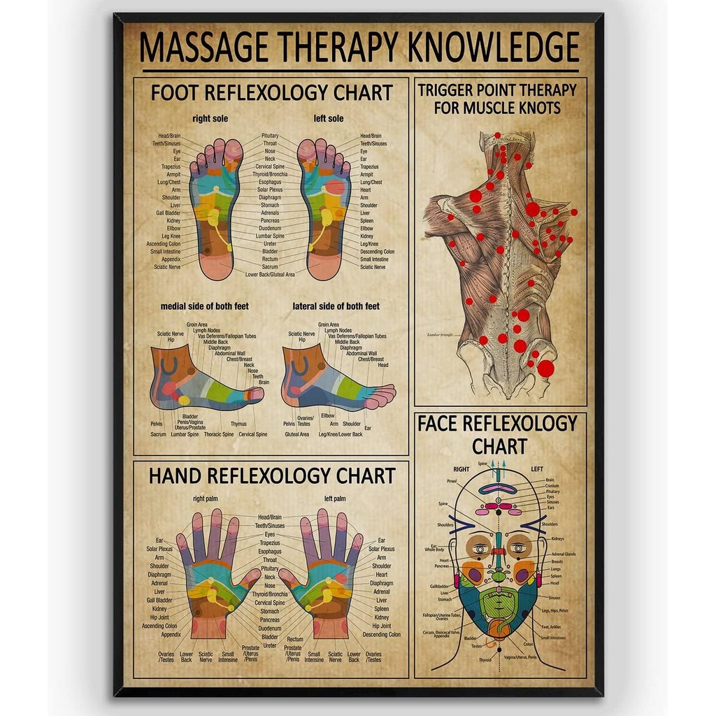 GG+Reflexology Chart Massage Therapy Knowledge Poster Foot Trigger ...