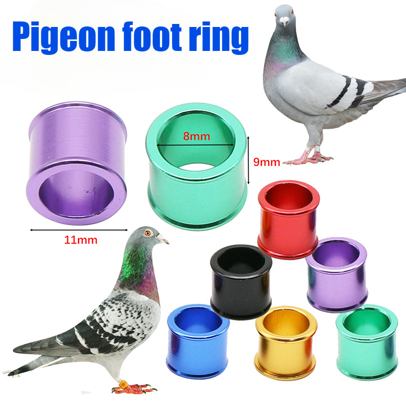 12Pcs Aluminium Pigeons Foot Ring 8*9mm Birds Identification Colorful ...