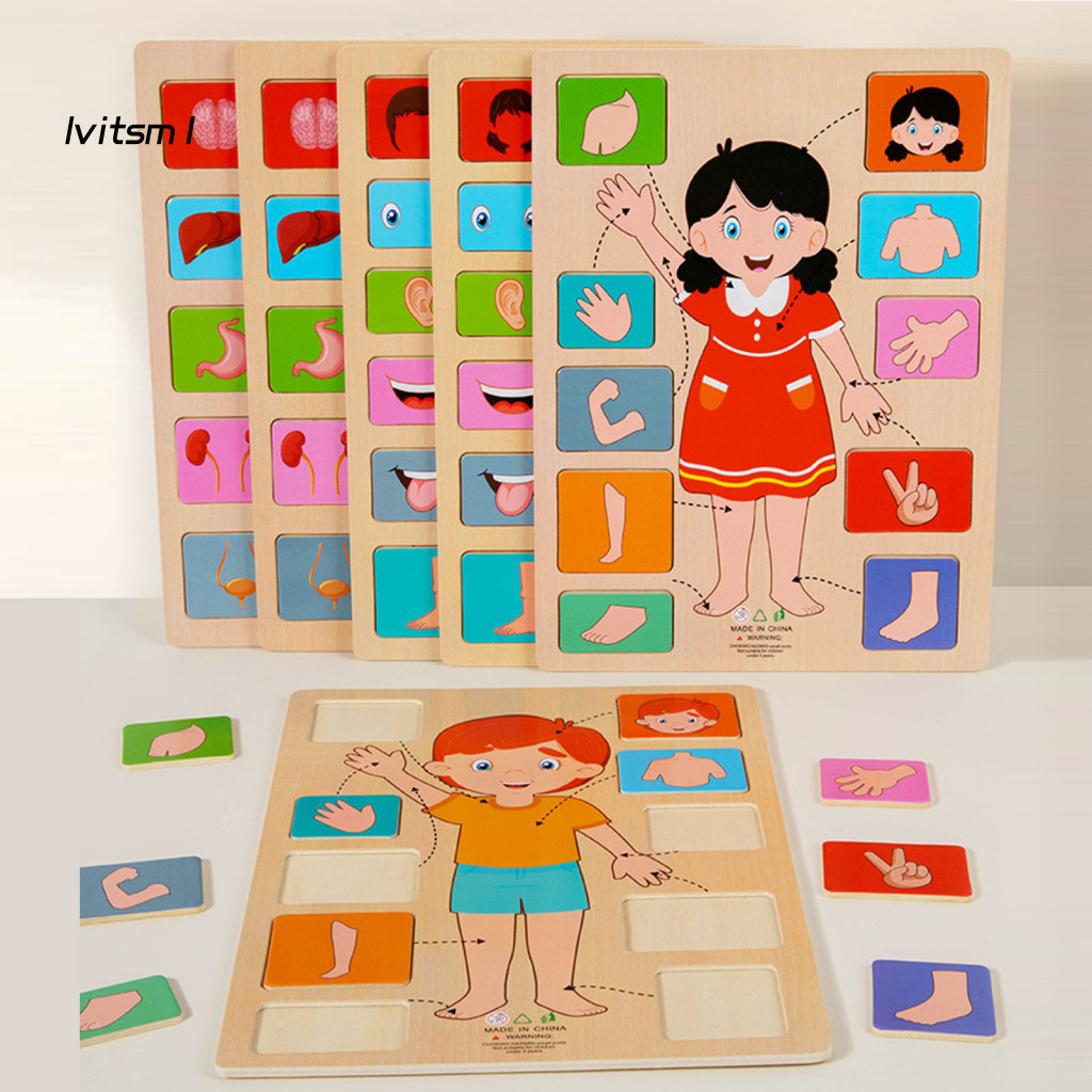 [LV] Anatomy Learning Puzzle Body Learning Toy Wooden Body Puzzle Game ...