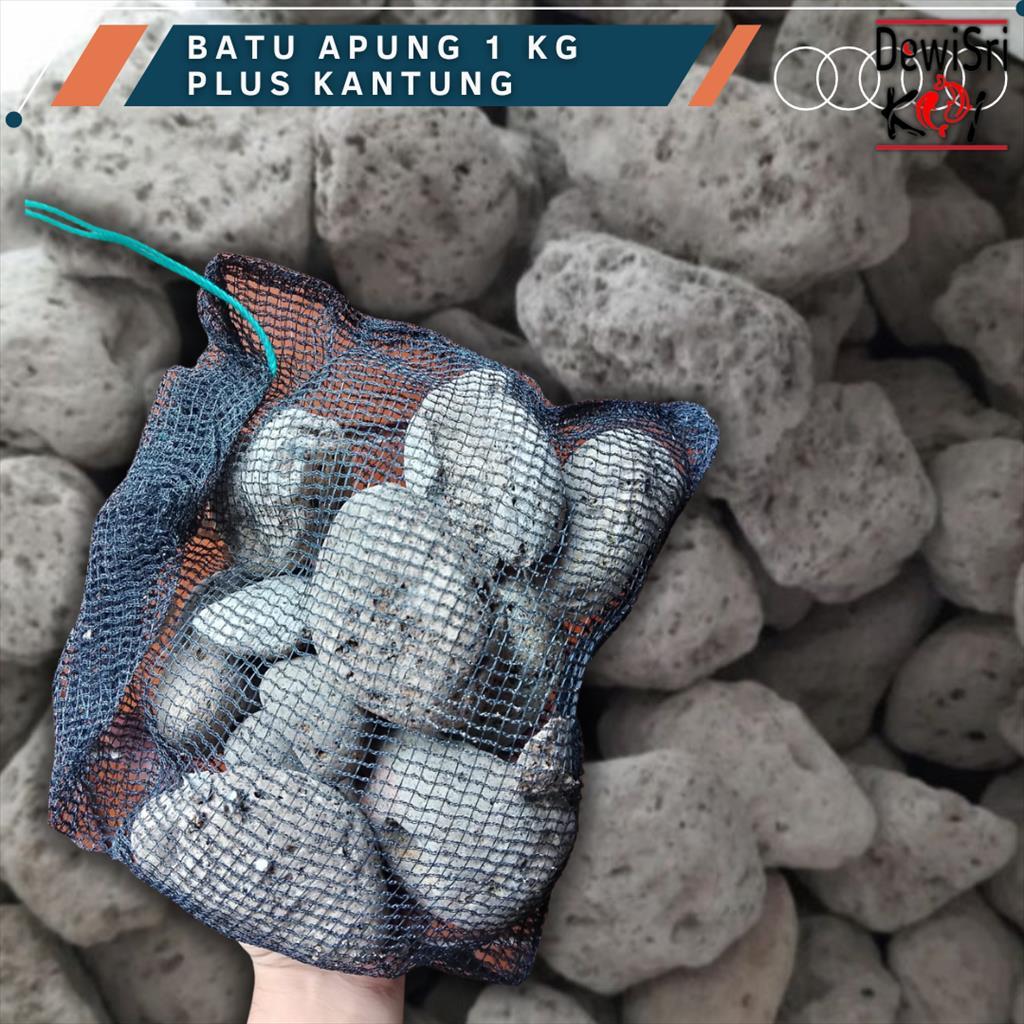 Pumice Stone 1kg - Fish Pond Biological Filter Media + Netting Bag ...