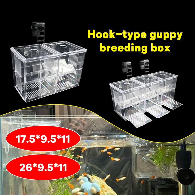Peacock Fish Tank Small Fry Breeding Box Clear Fish Breeding Isolation ...