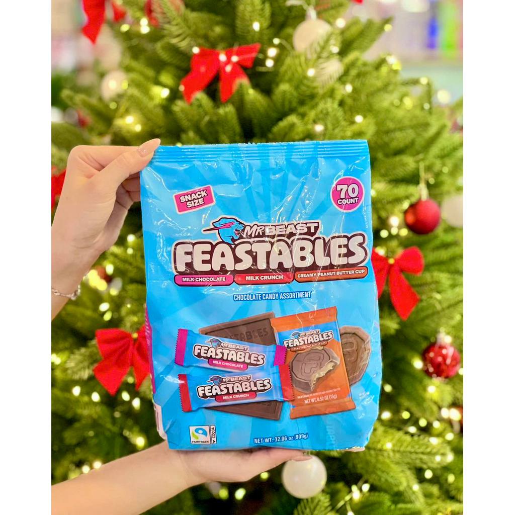 LARGE PACKAGE MIX 3 TYPES OF AMERICAN CHOCOLATE mrbeast FEASTABLES ...
