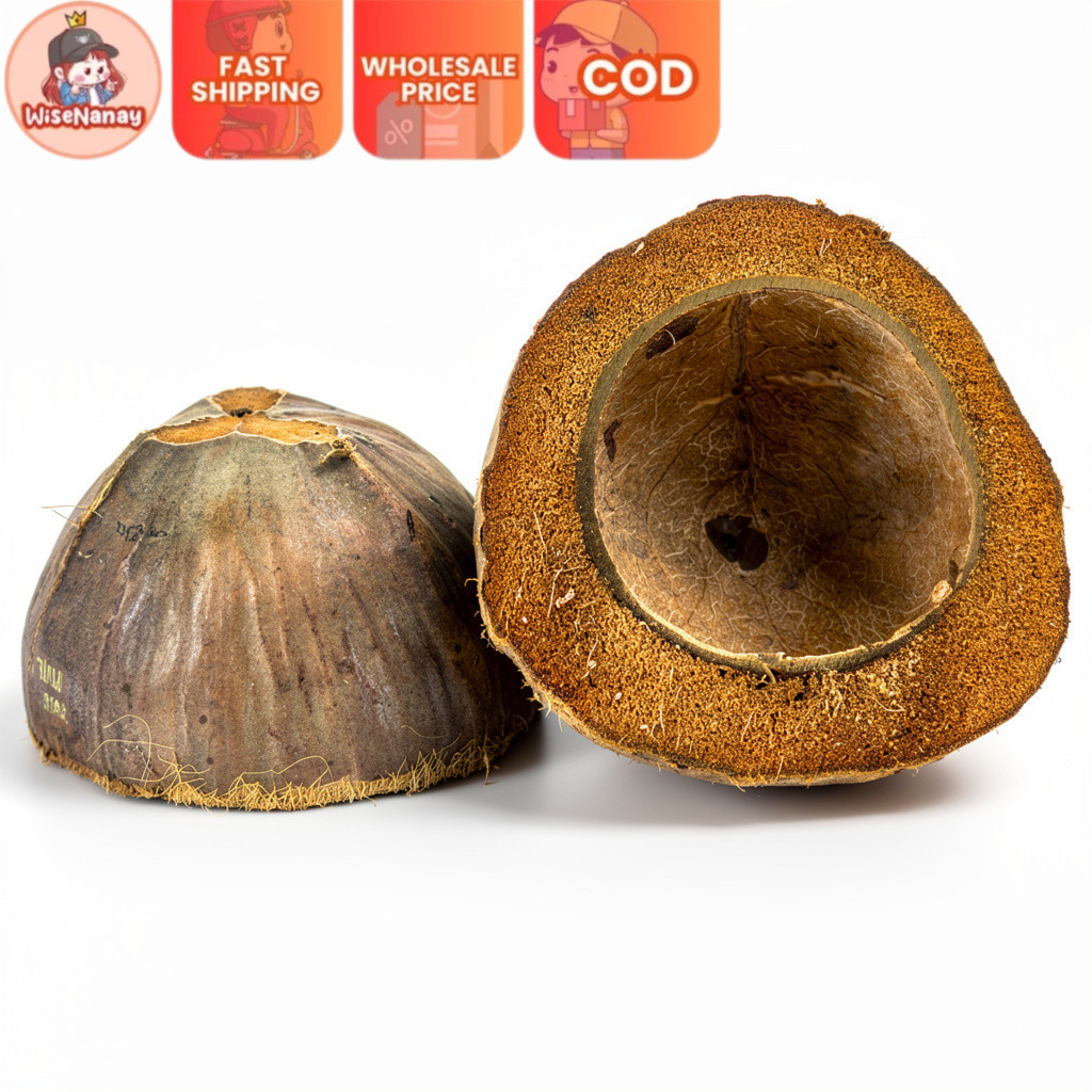 Shop coconut husk for Sale on Shopee Philippines
