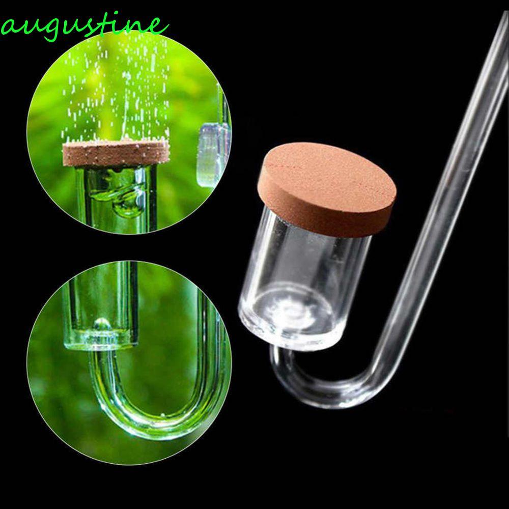 AUGUSTINE CO2 Diffuser Reactor Transparent Atomizer Water Grass ...