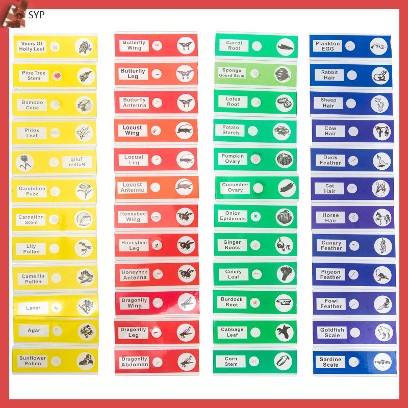 48 Pcs Student Prepared Microscope Slides for Kids Sample Samples with ...