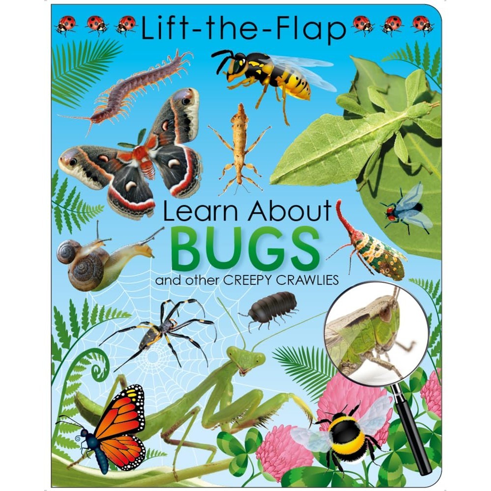 Kids Educational Lift-the-Flap Book – All About Bugs and Creepy ...