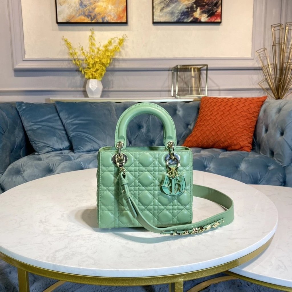 Dior 4 Compartments-Mint Green Color Buckle Dior Bag Badge Style Lady ...