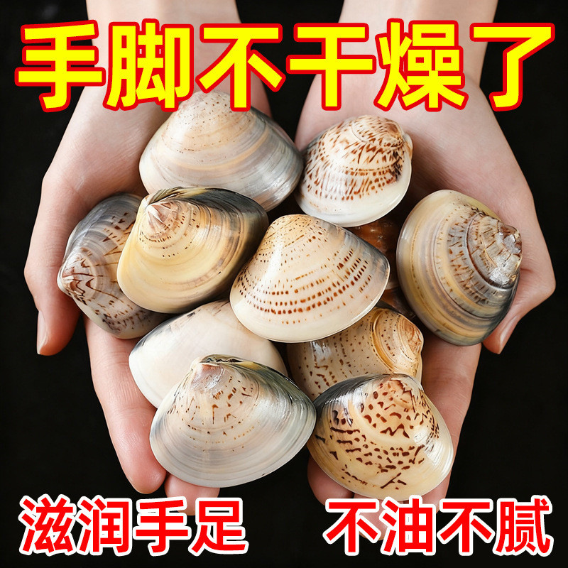 Old Shanghai Clam Oil Hand Cream Every Day Must-have Antifreeze Anti ...