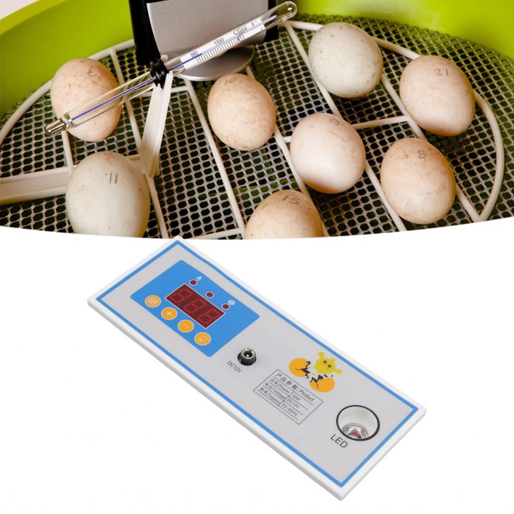 Incubator Temperature Controller Large LCD Screen Full Automatic for ...