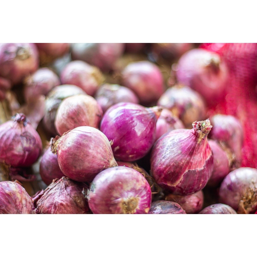 Fragrant Shallots Big Head Half A Kilogram And 1 Dried Fresh Hard Every ...