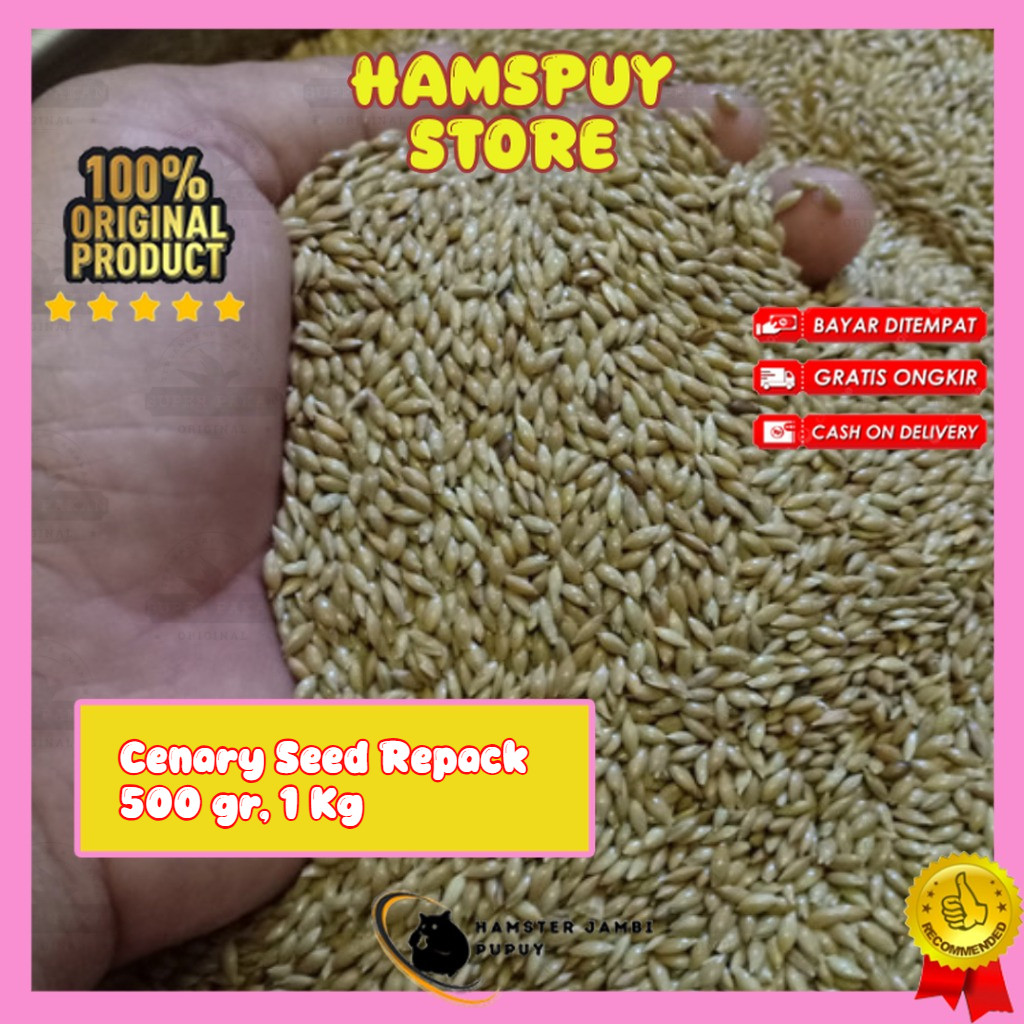 Millet Canary Seed Bird Food 500 Grams Premium Grade A Seeds for Finch ...